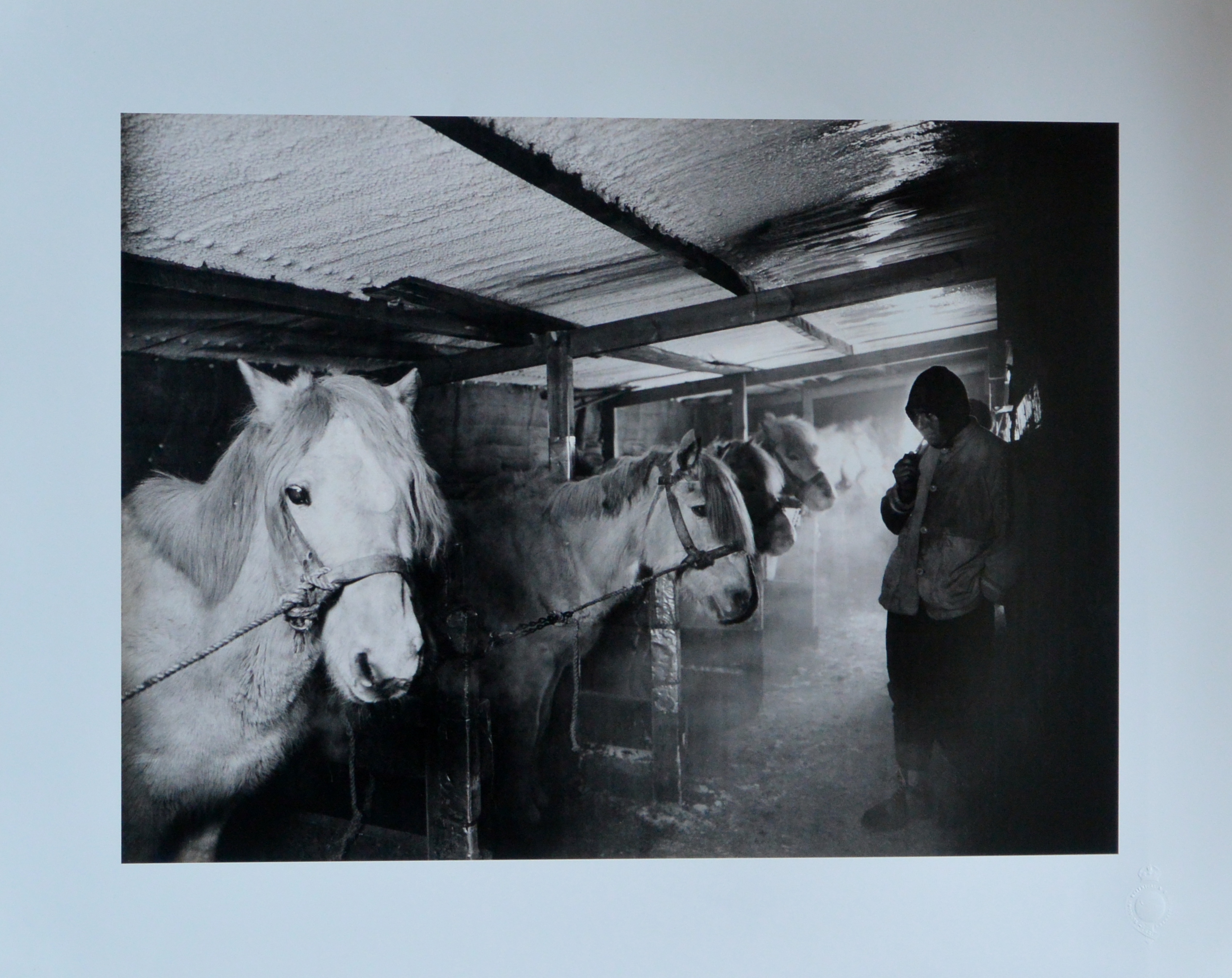 Robert Falcon Scott - "Captain Oates and the ponies in the stales of ...