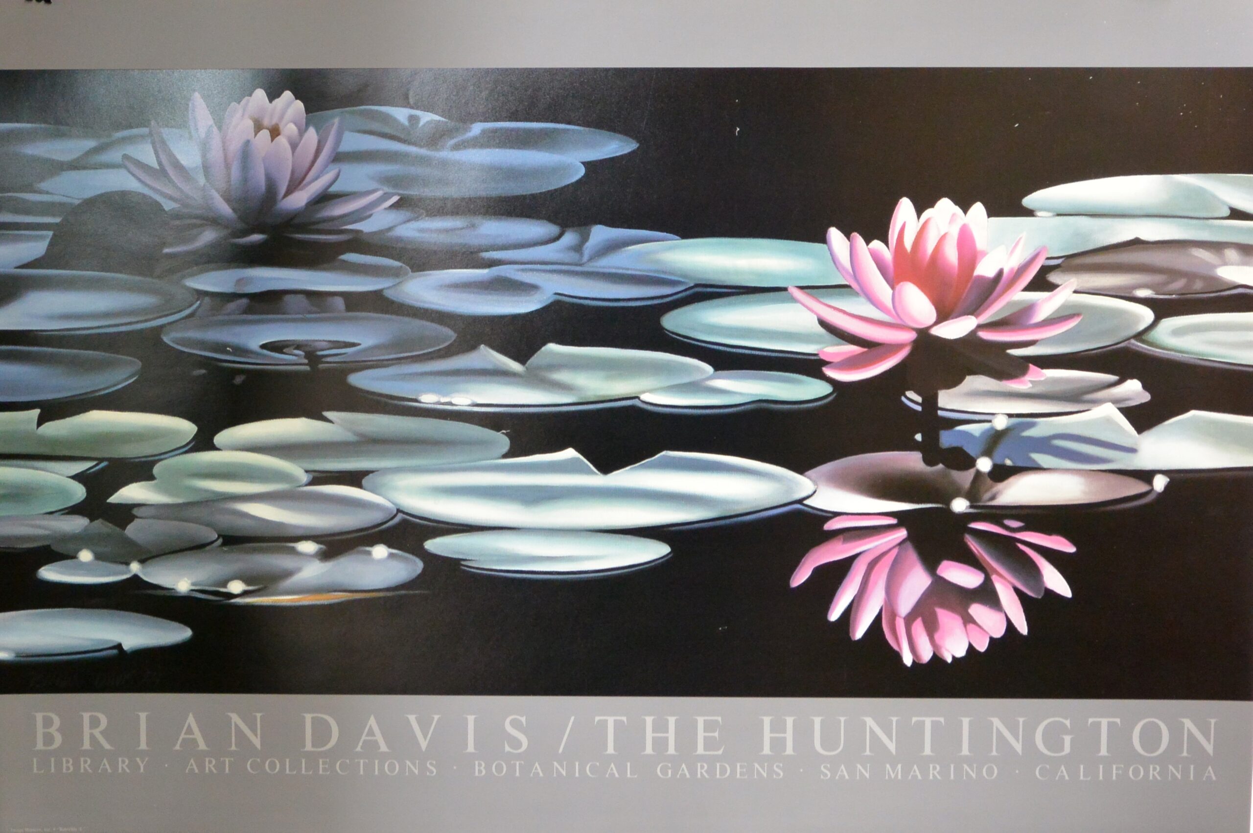 Brian Davis - "Water lilies I" The Huntington Library, cartel original ...