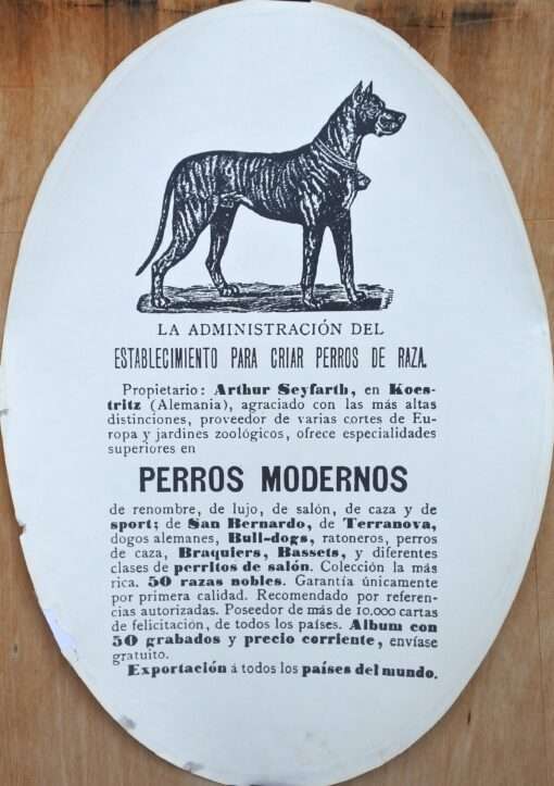 Publicidad - "Perros modernos" cartel publicitario antiguo, ovalado ...
